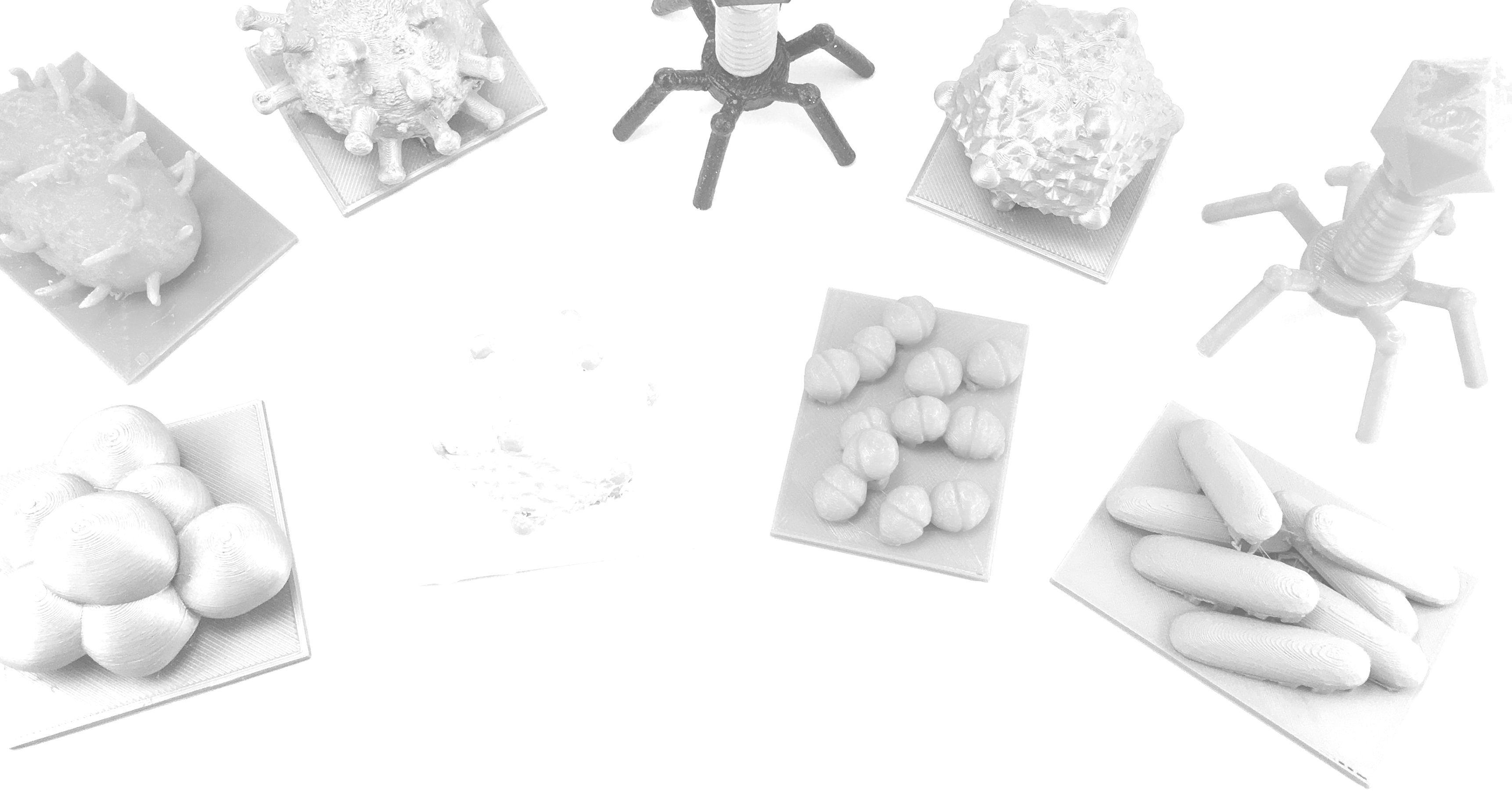 Sci-Senses: Coming Soon!